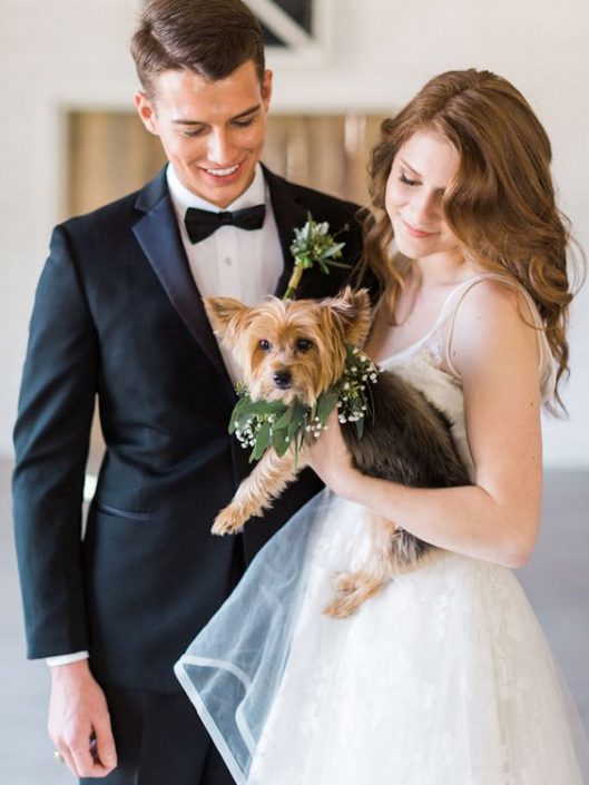How to Include Pets in your Wedding: Best Tips and Ideas Ever!